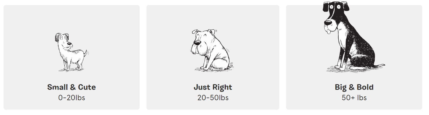 Win a BarkBox! – Newton and Wichita Pet Care