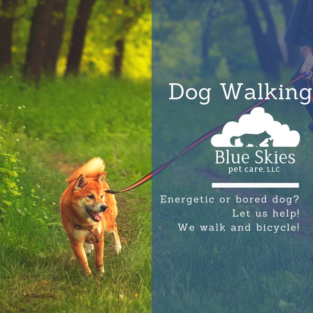 Newton Dog Walking – Newton and Wichita Pet Care