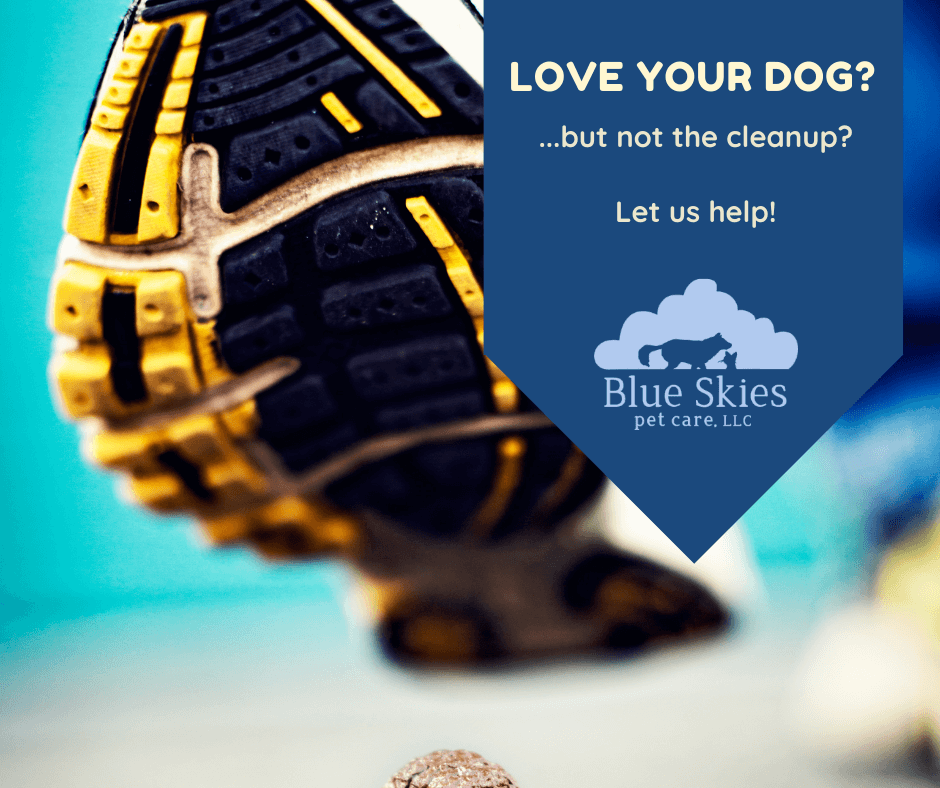 Poop Scooping | Newton, KS – Newton and Wichita Pet Care