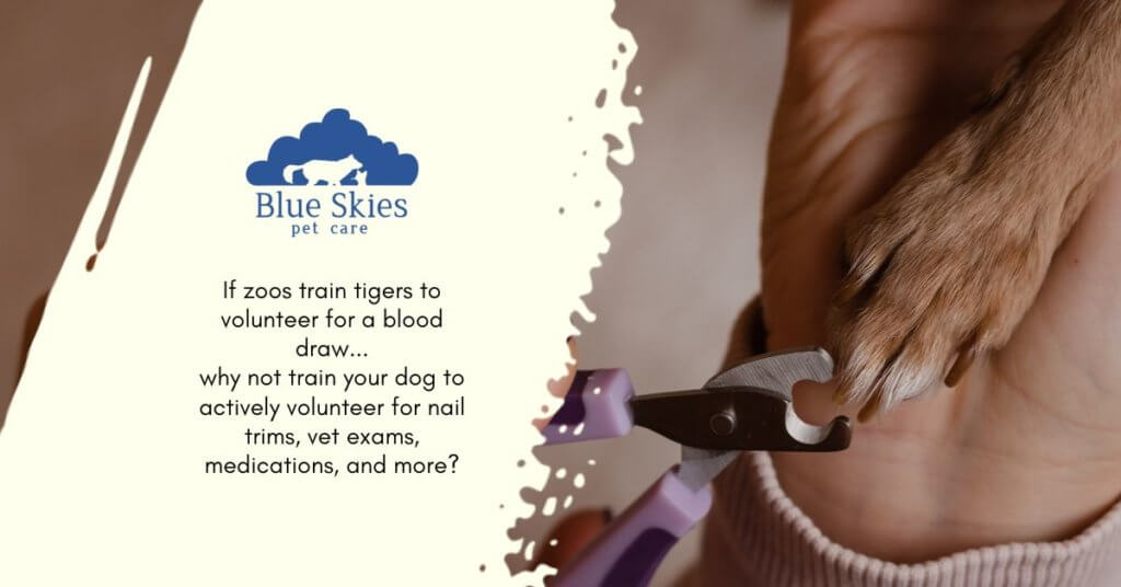 Cooperative Care in Dog Training – Newton and Wichita Pet Care