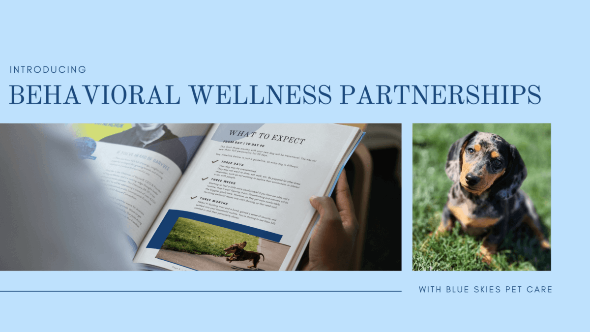 Announcing Our Behavioral Wellness Program: A Community-Centric ...